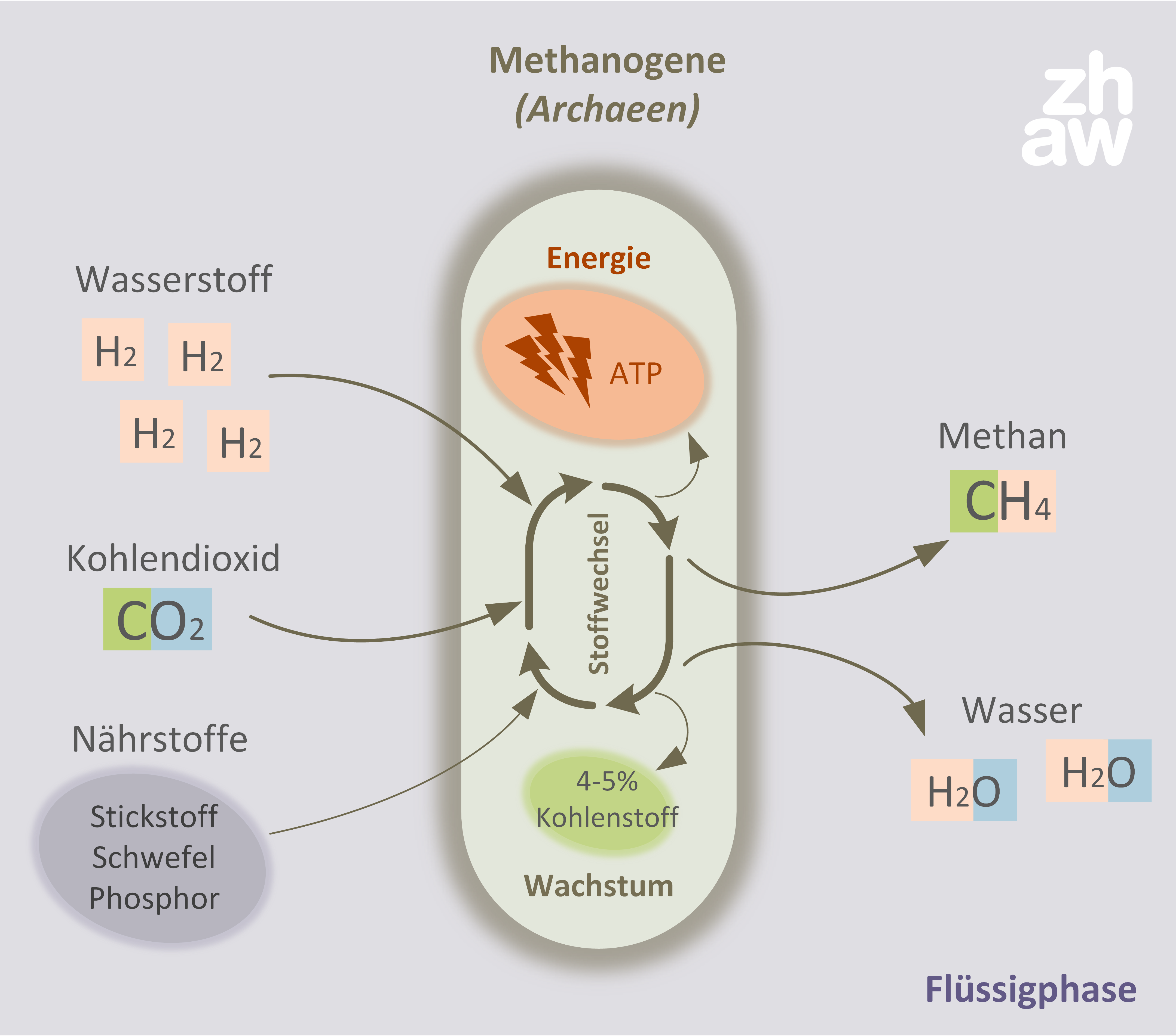 Power-to-Gas-Verfahren von Limeco